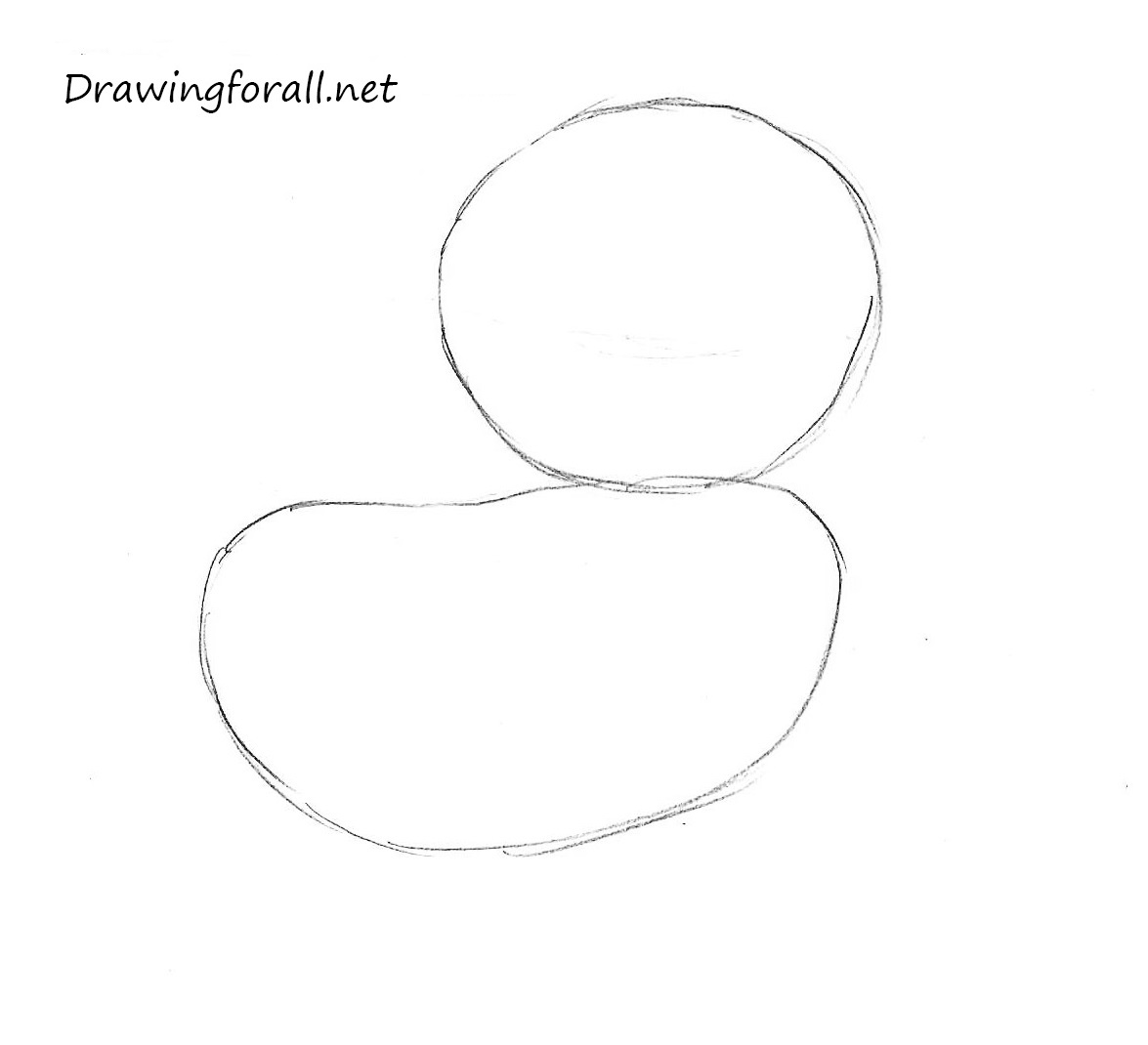 How To Draw A Chicken How To Draw A Chicken