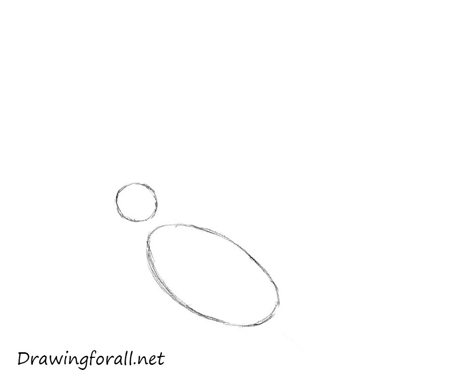How To Draw A Dove For Beginners