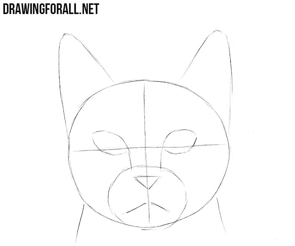 How To Draw A Cat Head How To Draw A Cat Head