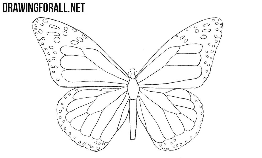 How To Draw A Butterfly