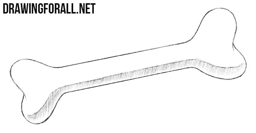How To Draw A Bone Easy