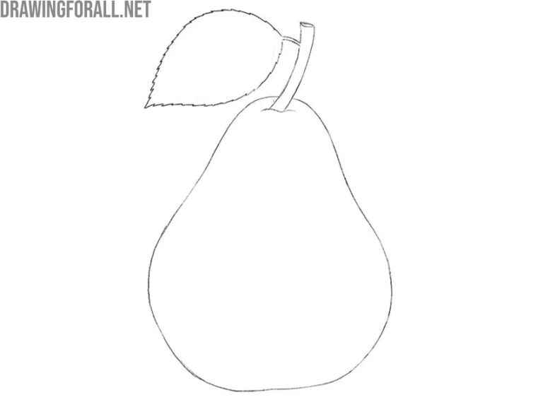 How to Draw a Pear for Beginners