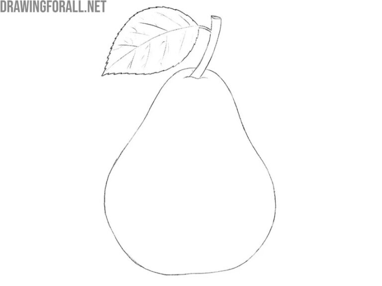 How to Draw a Pear for Beginners