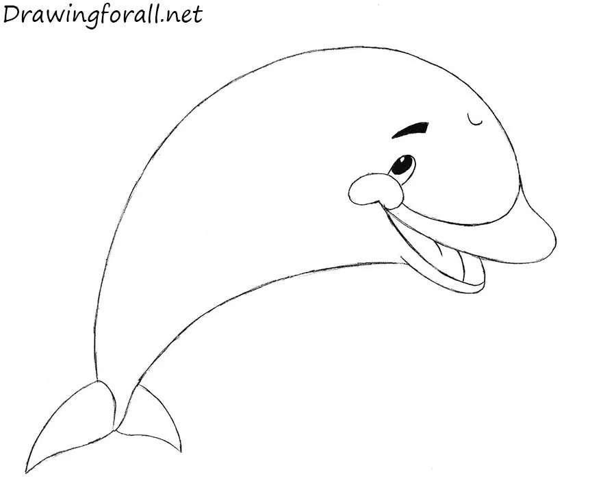 how to draw a little dolphin