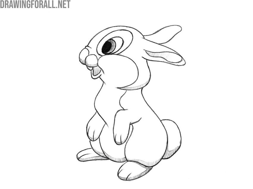 How to Draw a Cartoon Rabbit