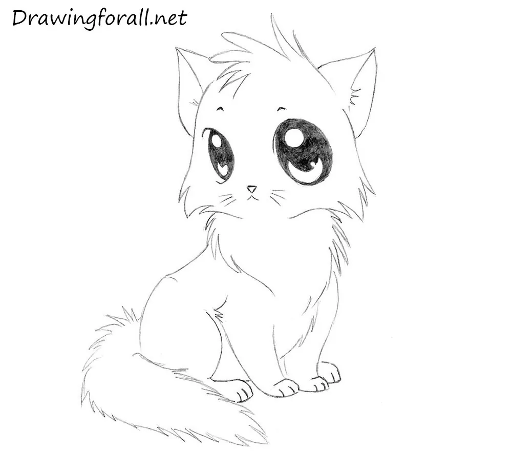 how to draw cat for toddlers