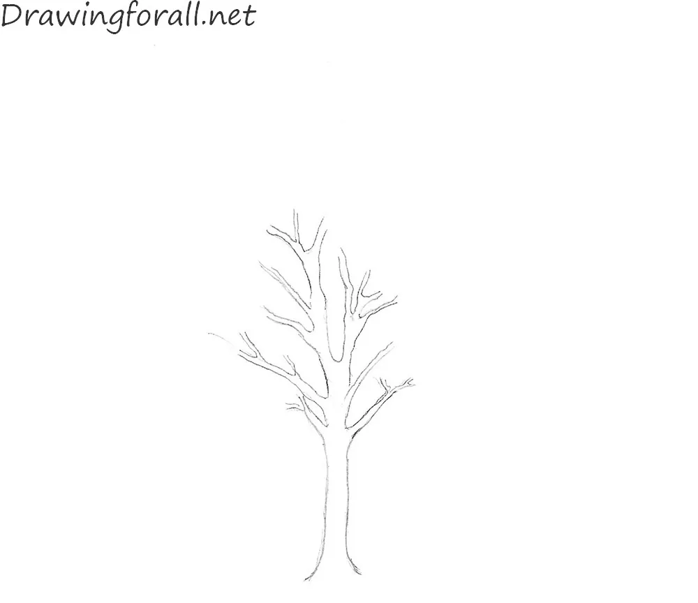 how to draw a tree trunk easy
