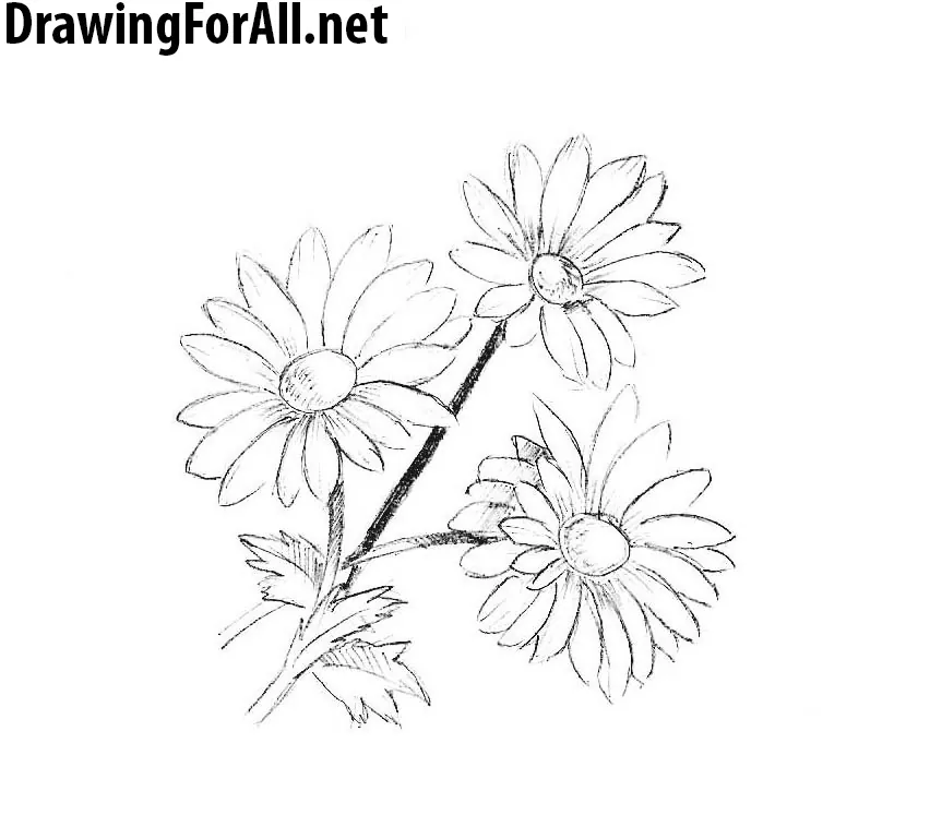 how to draw flowers tutorial