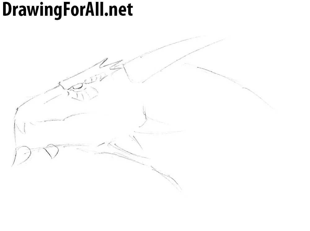 dragon head how to draw a dragon