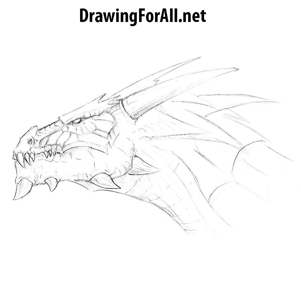Drawing For All — How to Draw Dragon Head