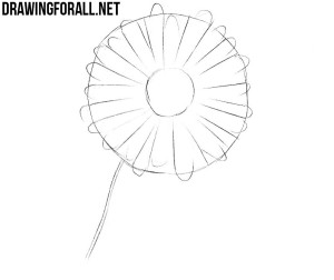 How to Draw a Flower Easy