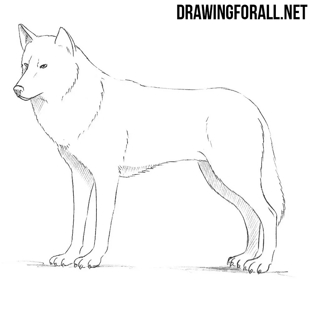 How To Draw A Werewolf Howling At The Moon
