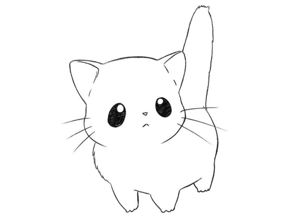 How to Draw a Chibi Cat - Drawingforall.net