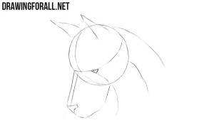 How to Draw a Dog Head