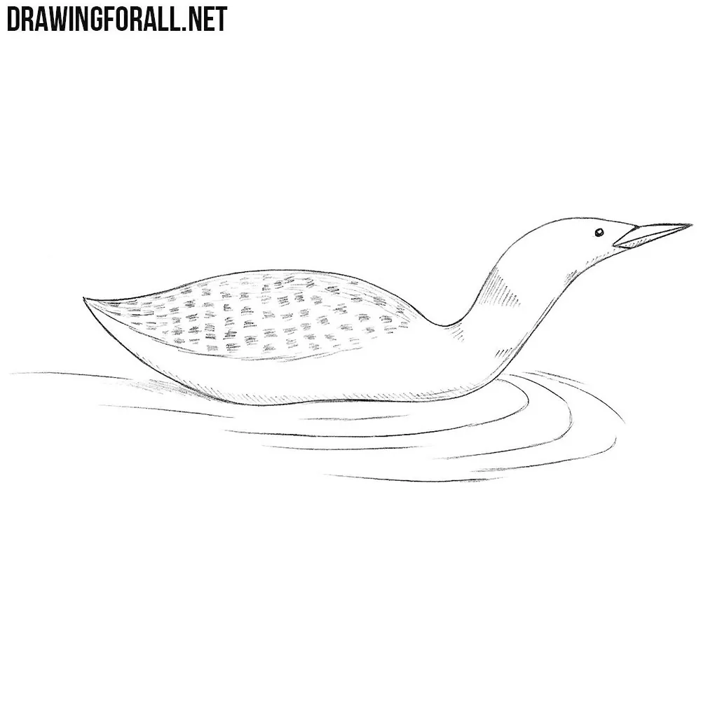 Animals - Page 8 of 13 - Drawingforall.net