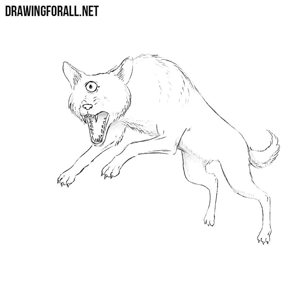 Dog Black And White Drawing