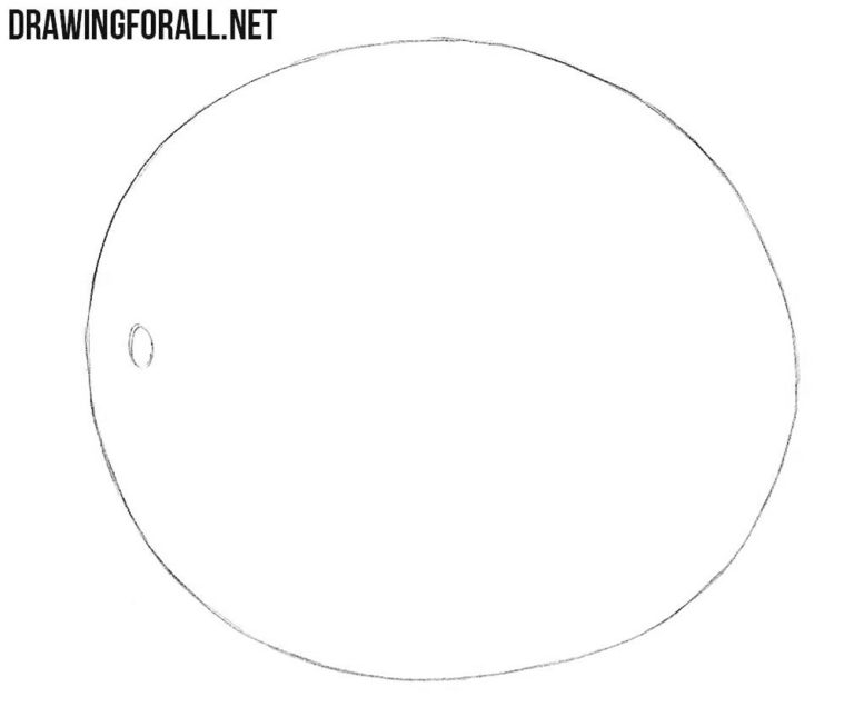 How to Draw a Cantaloupe