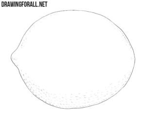 How to Draw a Lime