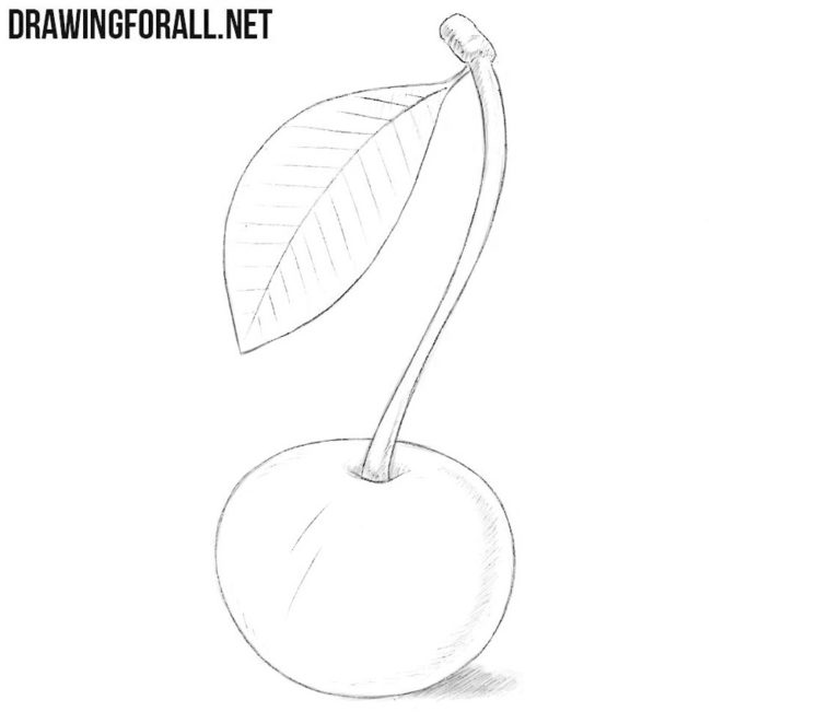 How to Draw a Wild Cherry