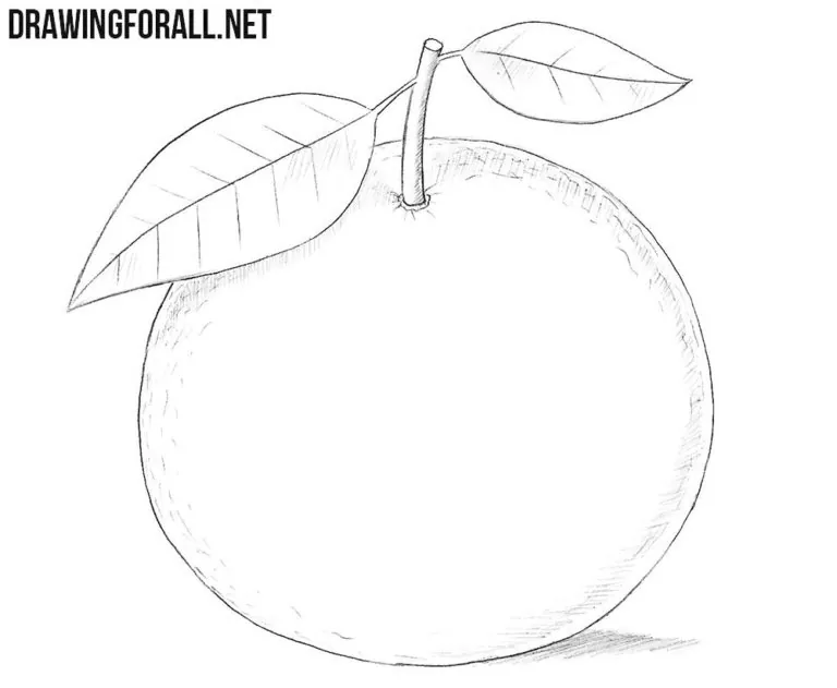 How to Draw a Mandarin