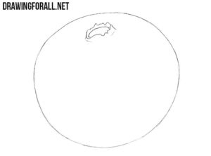 How to Draw a Cranberry