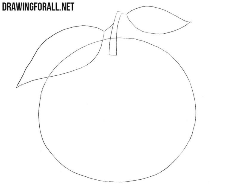How to Draw a Mandarin