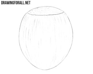 How to Draw a Chestnut