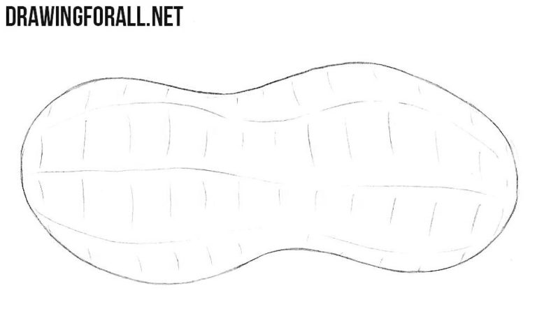 How to Draw a Peanut