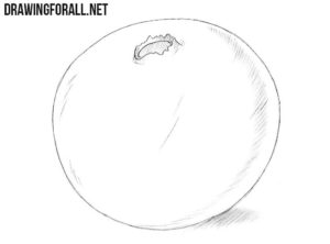 How to Draw a Cranberry