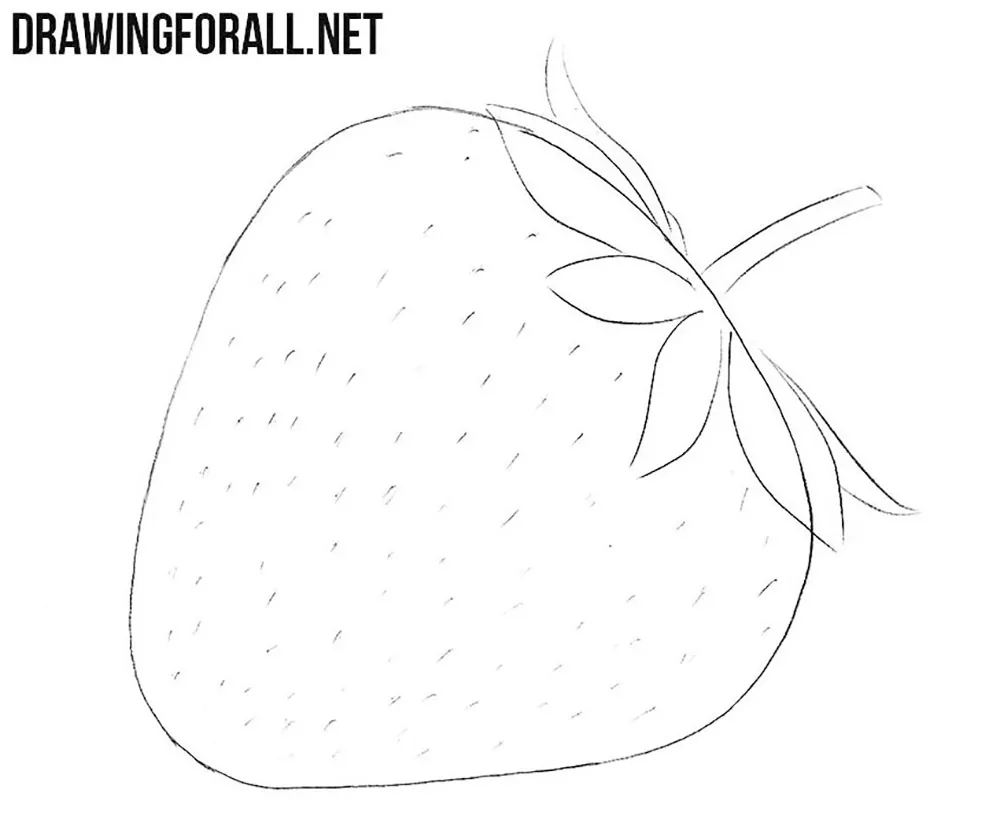 how to draw strawberry leaves