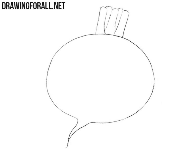 How to Draw a Turnip