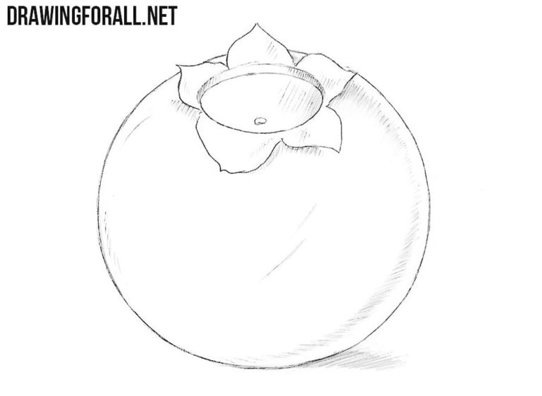 How to Draw a Blueberry