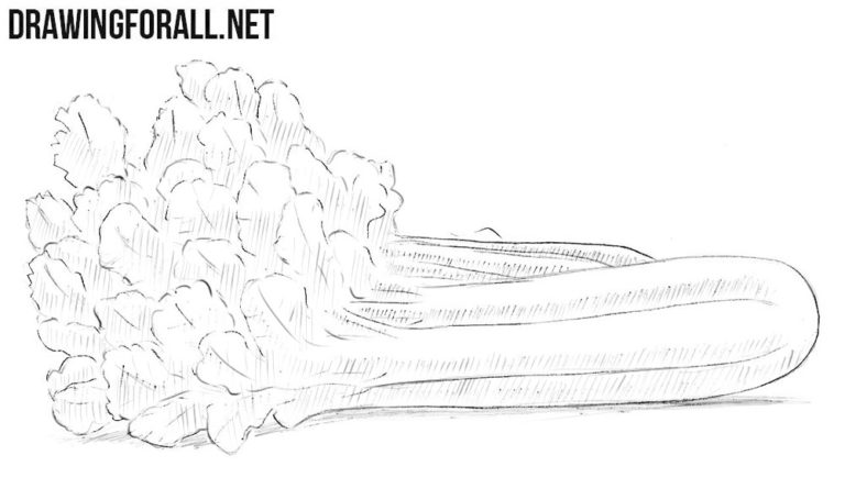 How to Draw a Celery