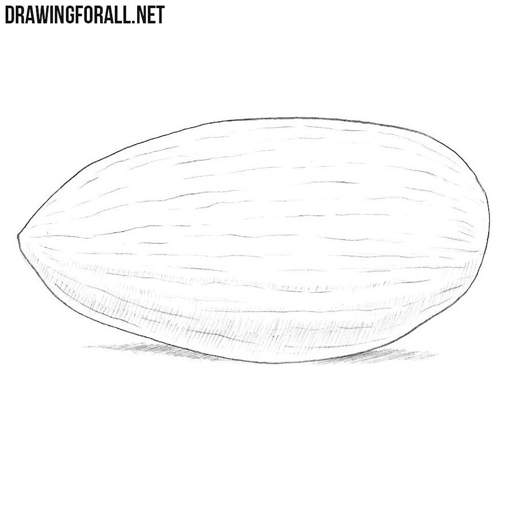 Almond Drawing