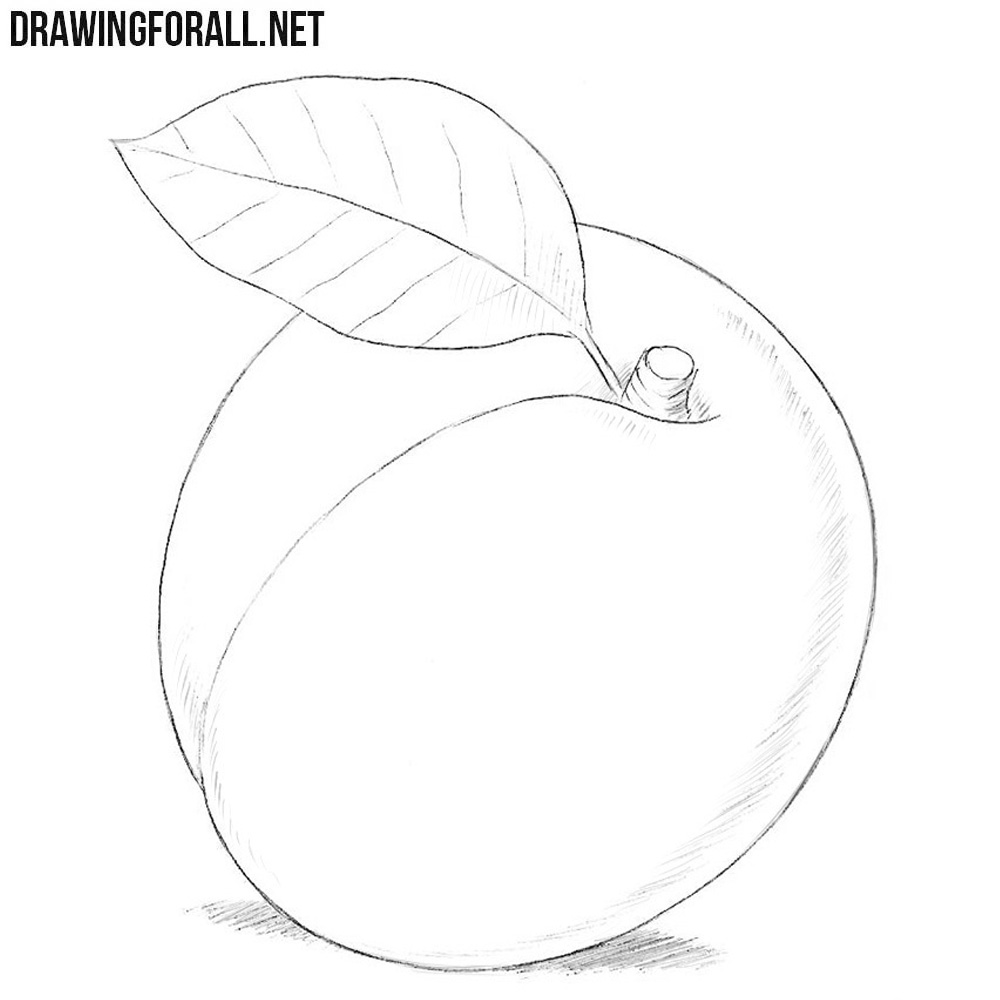 How to Draw an Apricot