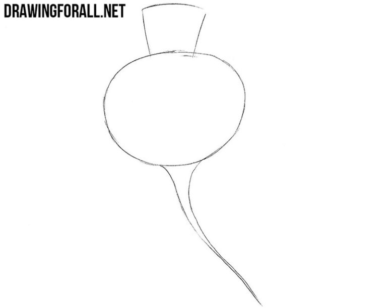 How to Draw a Radish