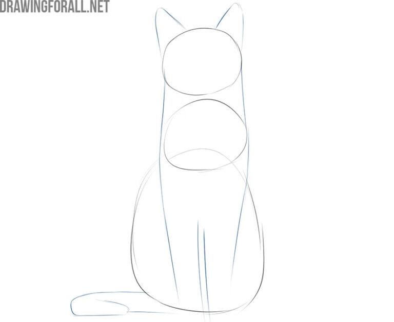 How to Draw a Sitting Cat - Drawingforall.net