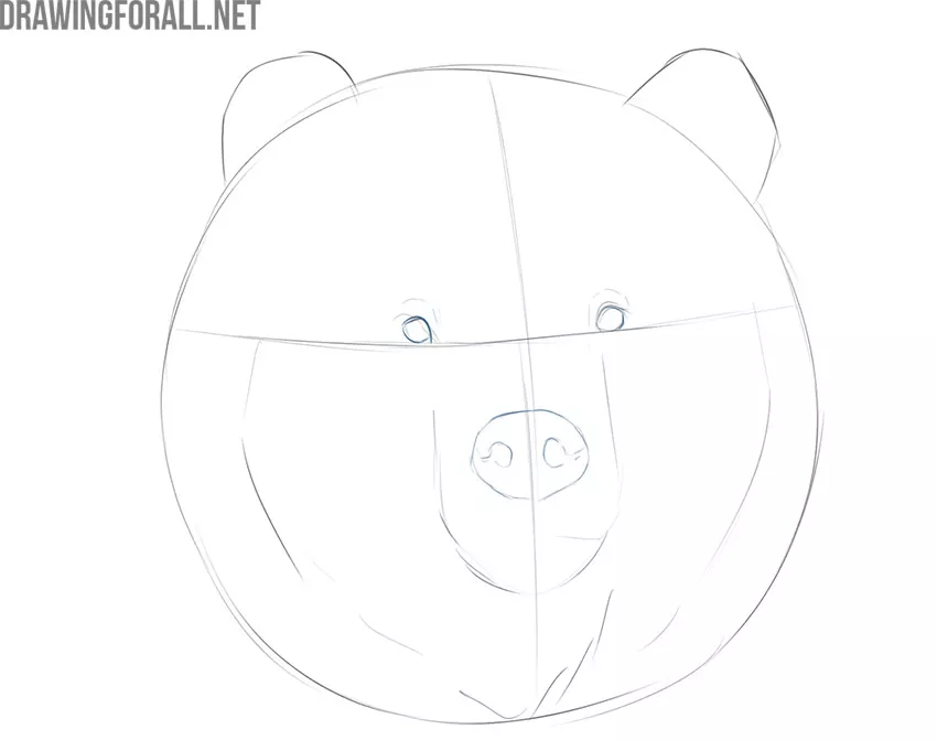 how to draw a bear in easy steps