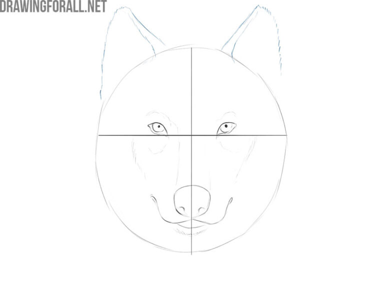 How to Draw a Wolf Face