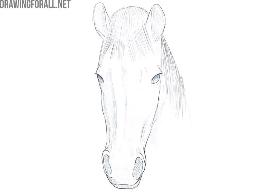 how to draw horse face easy