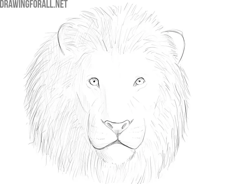 how to draw easy lion face