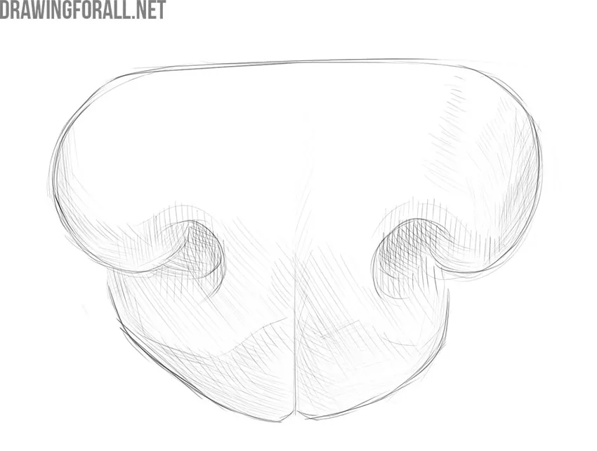 how to draw a nose easy steps