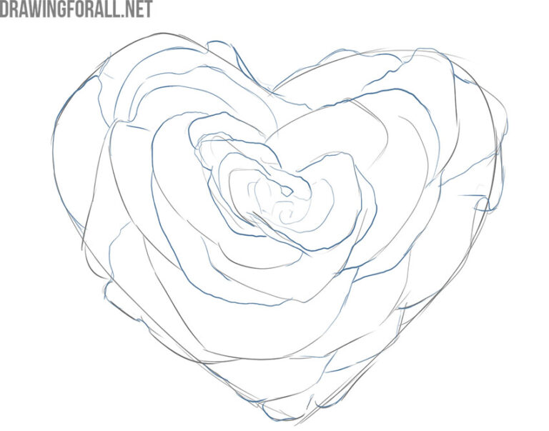 How to Draw a Heart Rose