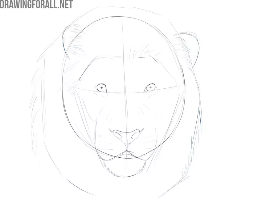 how to draw the face of a lion