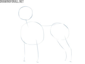 How to Draw a Realistic Dog