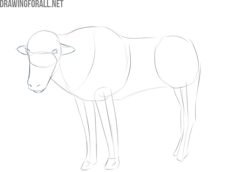How to Draw a Yak