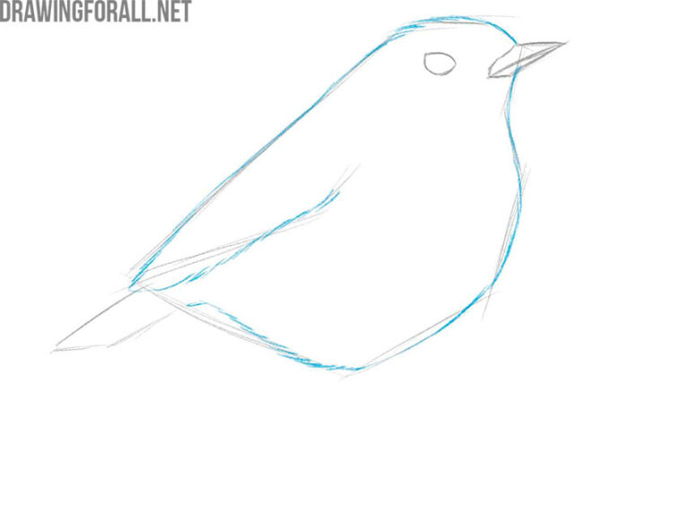 How to Draw a Bird - Drawingforall.net