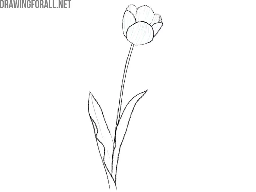 how to draw flowers tutorial