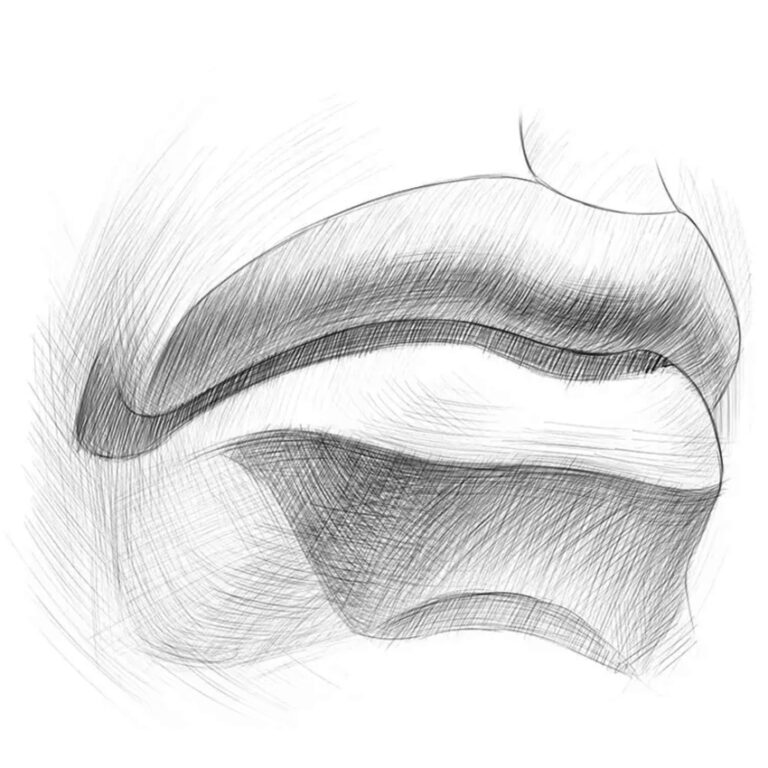 Drawingforall.net - Drawing Tutorials and Art Fundamentals