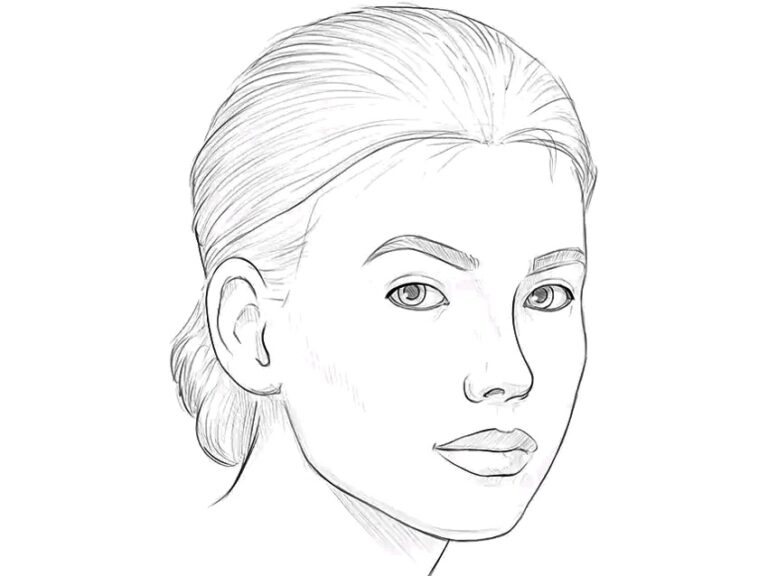 Drawingforall.net - Drawing Tutorials and Art Fundamentals